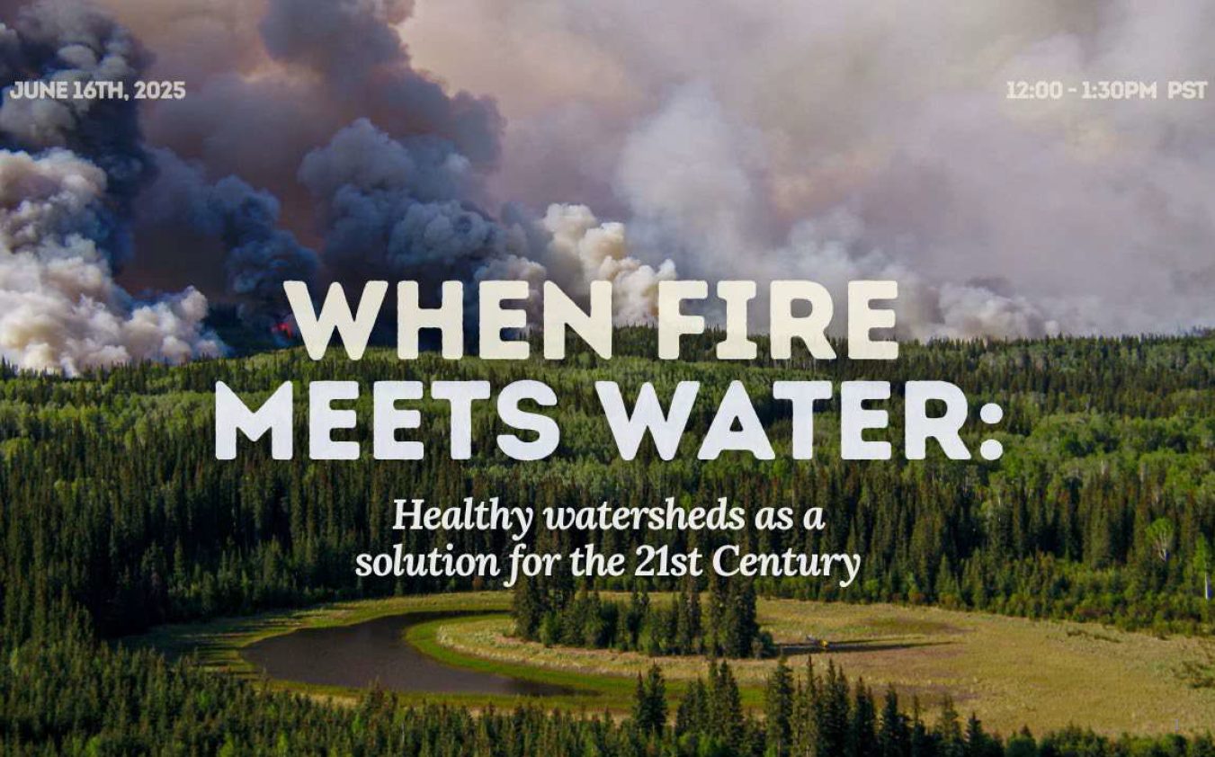 When Fire Meets Water: Healthy Watersheds as a Solution for the 21st ...